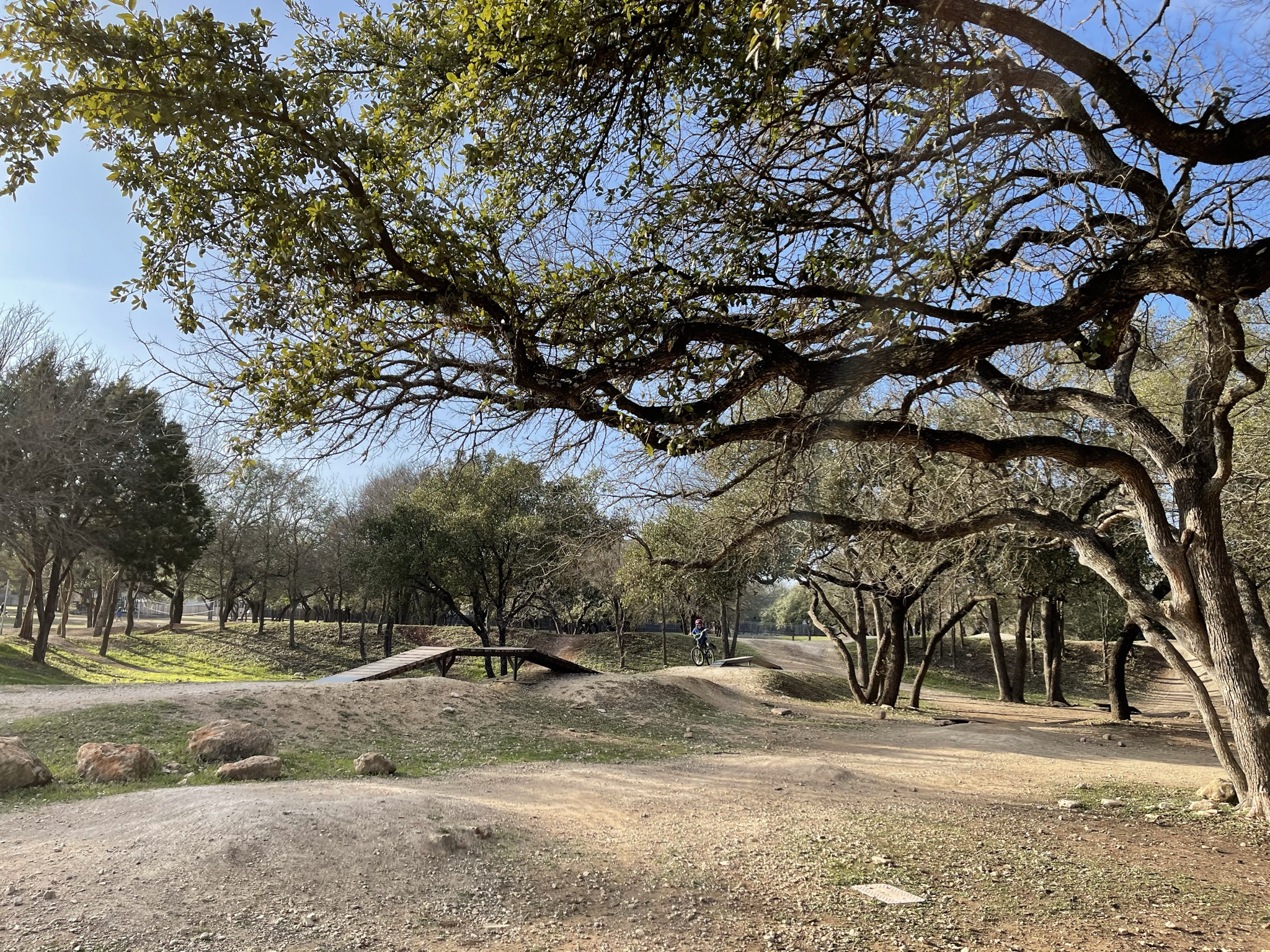 Elizabeth Milburn Park & Pool (Cedar Park) - Austin Active Kids