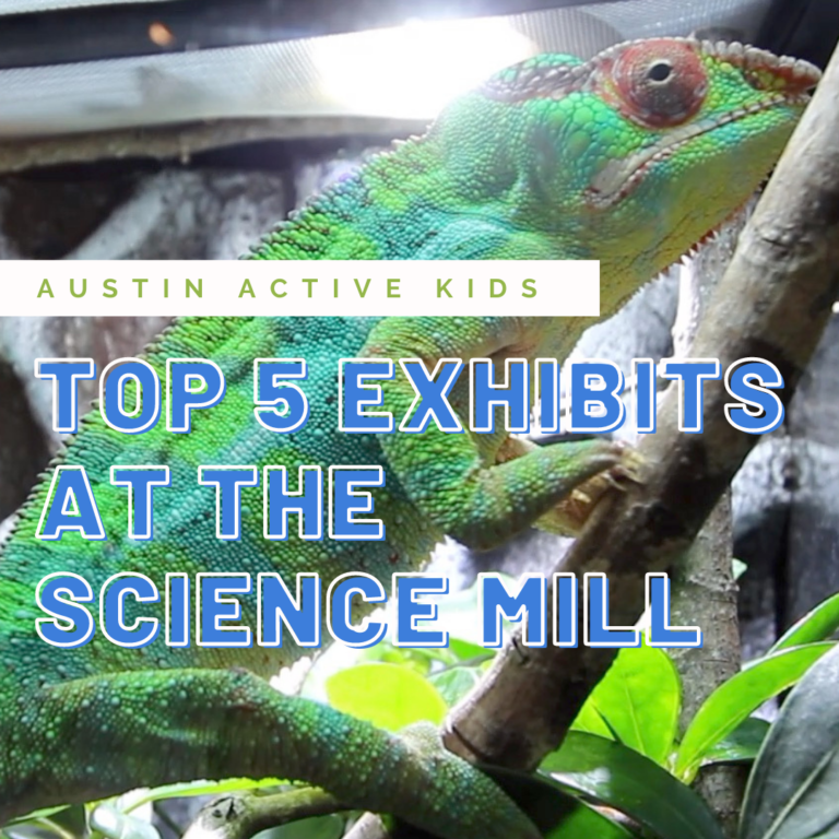 Top 5 Exhibits at the Science Mill - Austin Active Kids