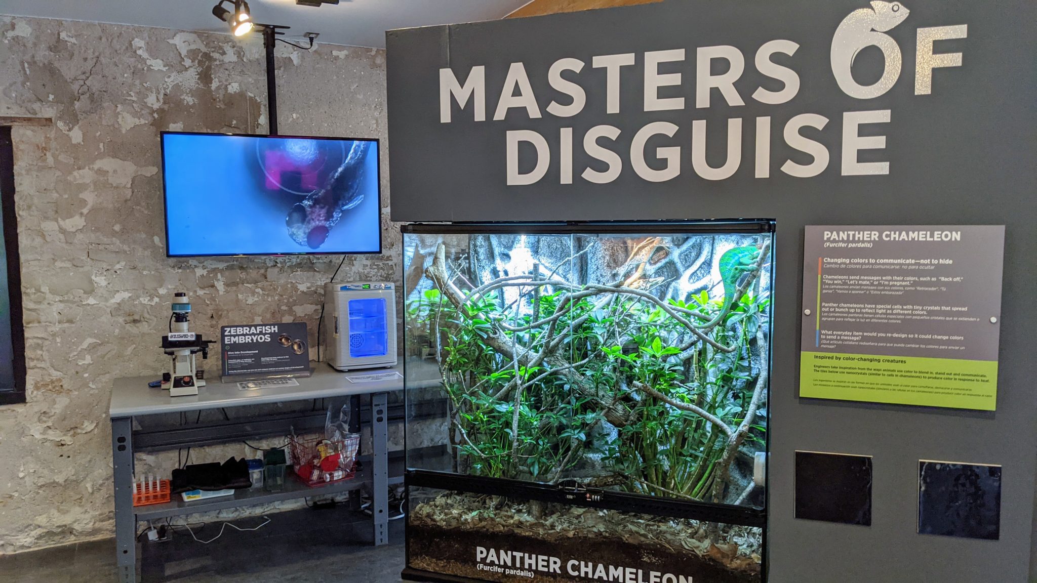 Top 5 Exhibits at the Science Mill - Austin Active Kids