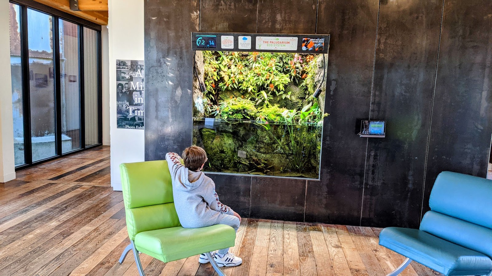 Top 5 Exhibits at the Science Mill - Austin Active Kids