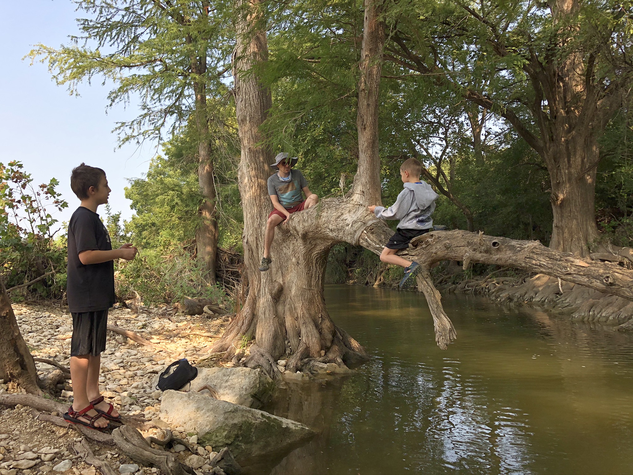 Where to Climb Trees in Austin - Austin Active Kids